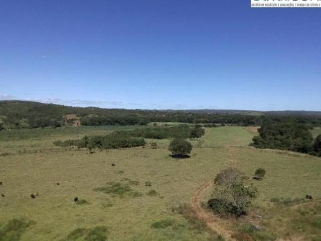 Fazenda de 500 ha Às Margens do Rio das Velhas a 160 Km de BH