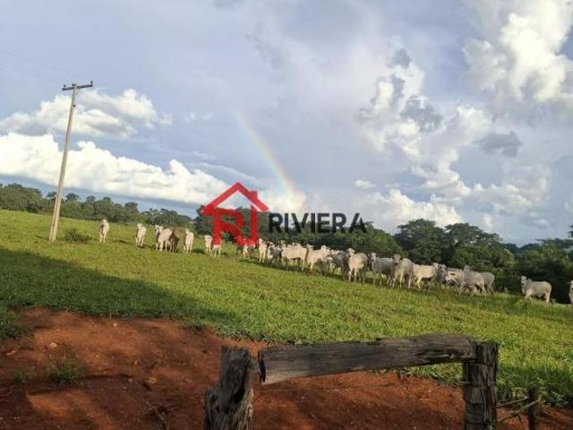 Fazenda de 5.360.000m² à venda em Curvelo MG: Oportunidade Única!