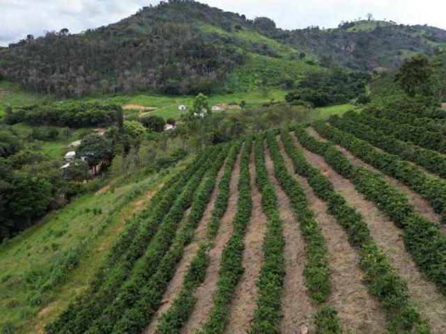 Fazenda de 66,2 hectares Propriedade é Mista Café e Pecuária