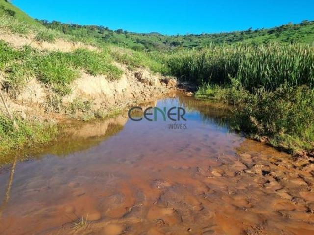 Fazenda de 690 ha pronta em Gov. Valadares MG excelente para criação e engorda de boi