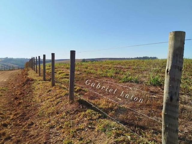 Fazenda de 625 hectares na região de Ibiá