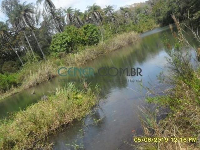 Fazenda de 637 ha em Santa Luzia, Às Margens do asfalto e Fundo com Rio das Velhas
