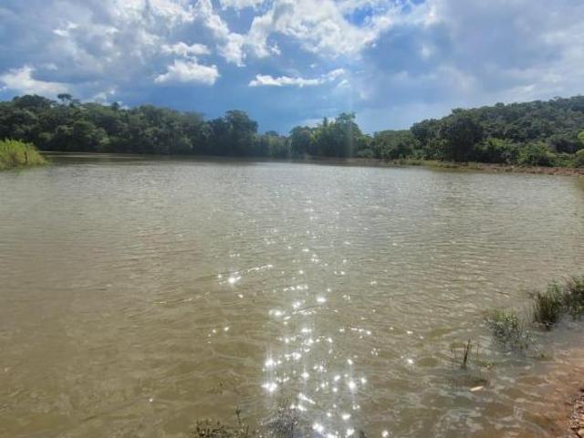 FAZENDA DE 63 ALQUEIRES EM ABADIÂNIA GO