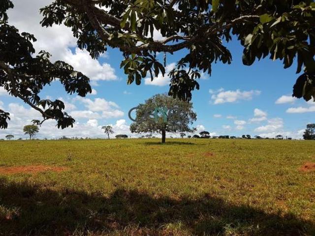 Fazenda de 760 ha na grande BH por R$30 M