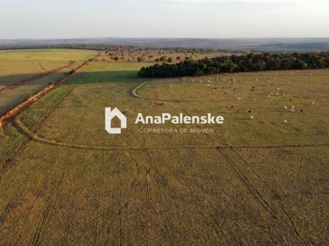 Fazenda de 797 hectares à venda em Costa Rica/MS. Dupla aptidão. localizada a 18 Km da MS 316 A o