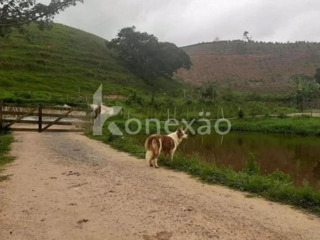 Fazenda de 798.600 m² com estrutura mecanizada e produção diversificada em Paraibuna/SP