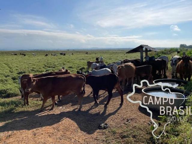 FAZENDA DE 72 ALQUEIRES NA ZONA LESTE DE SÃO JOSÉ DOS CAMPOS PARA PECUÁRIA E AGRICULTURA!