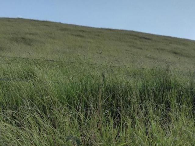 Fazenda de 72h com Recursos Hídricos e Casa Sede em Natividade da Serra/SP