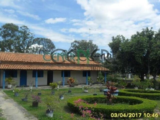 Fazenda de 845 ha com boa estrutura, bem Localizada por Ótimo Preço