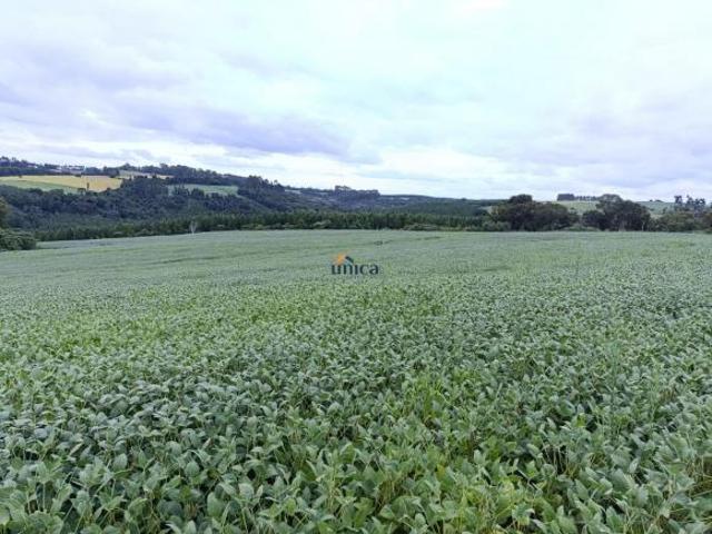 Fazenda de 84 hectares na BR 116: invista em alta produtividade e valorização futura! Agende sua vis