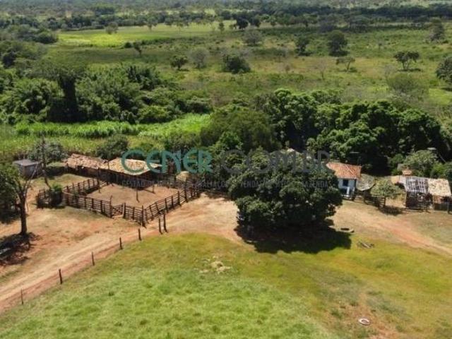Fazenda de 820 ha com Ótima Logística Às Margens da BR 040 a 190 Km de BH