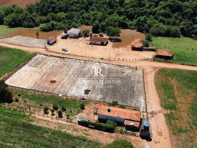 Fazenda de 83,0 hás Cafeeira Produtiva Campos Gerais / Córrego do Ouro