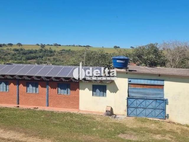 Fazenda disponível para venda em zona Rural de Araguari MG