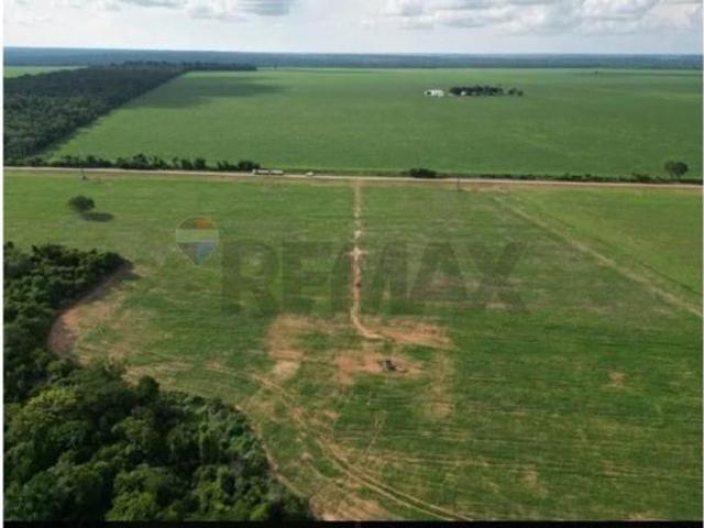 Fazenda dos Sonhos à Venda em Cláudia MT 245 ha soja