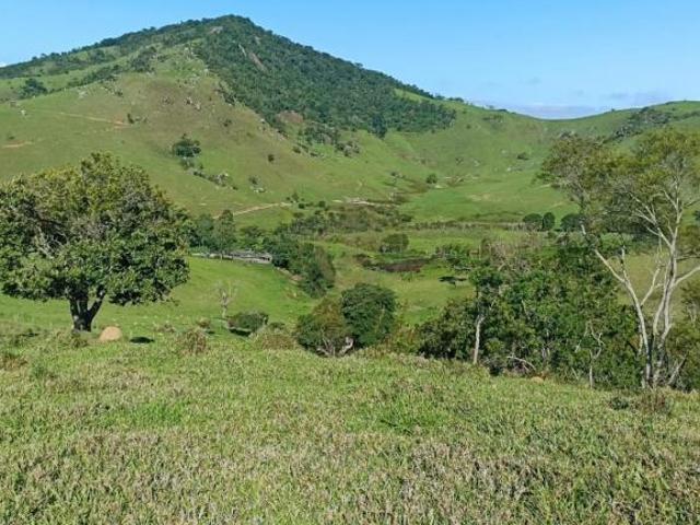 Fazenda dos sonhos de fertilidade,Produção e infraestrutura pronta para transformar seu negocio rura