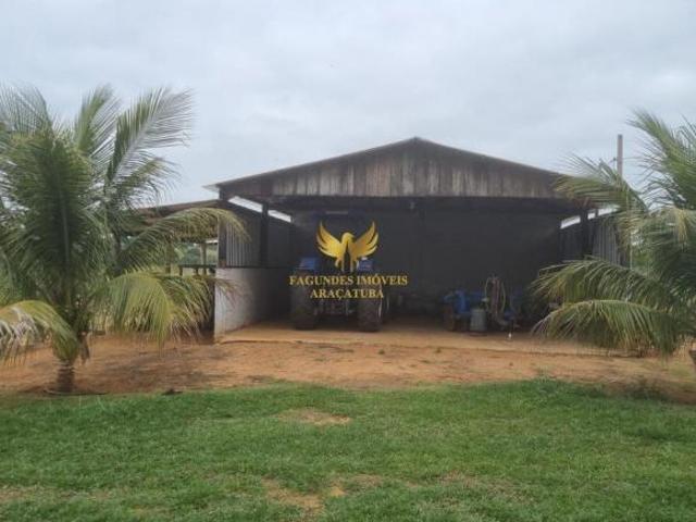 FAZENDA DRACENA