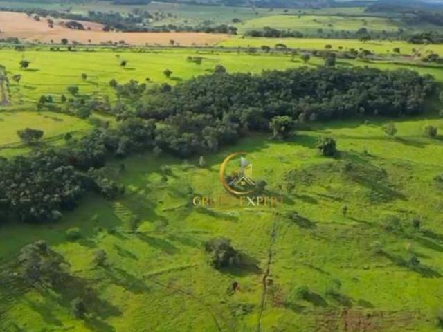Fazenda excelente pecuária 340 HA á venda em Uberlândia MG!
