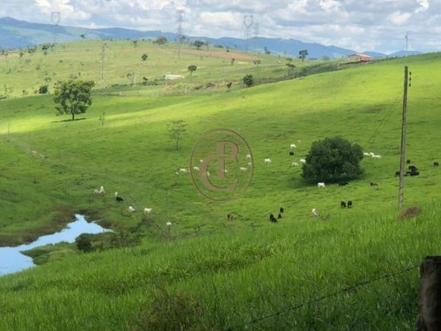 Fazenda Exclusiva de 194 Hectares em Cachoeira Paulista sofisticação, Natureza e múltiplas Aptidões
