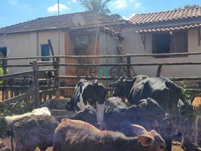 Fazenda e 64 hectares na região de Abaeté/MG – Estrutura completa para pecuária