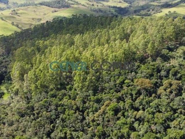 Fazenda ecológica com 275 ha e muita Riqueza Hídrica