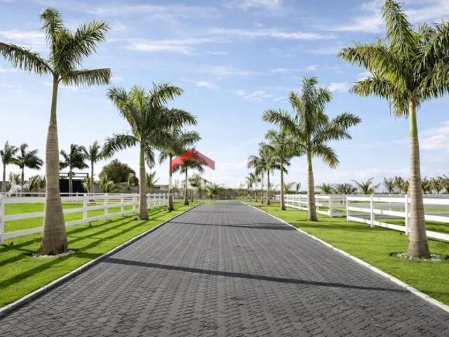 Fazenda em Marialva Centro Marialva/PR