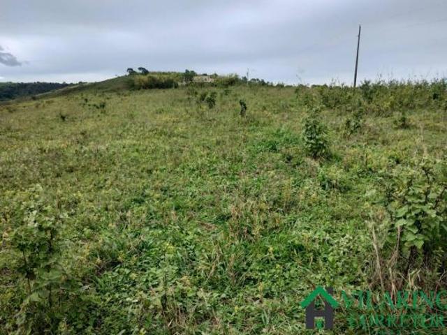FAZENDA EM MEDEIROS MG / ESTUDA PERMUTA
