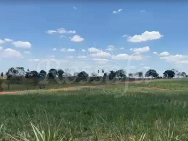 Fazenda em Meridiano/SP