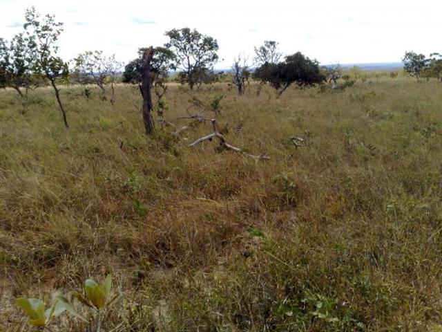 Fazenda em Minas Gerais