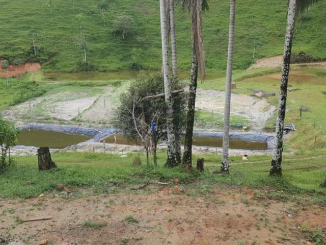 Fazenda em Miracatu COD: 5818 F: 11 97302 9229 CESAR