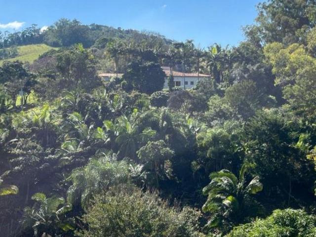 FAZENDA EM MONTE ALEGRE DO SUL 83 HECTARES