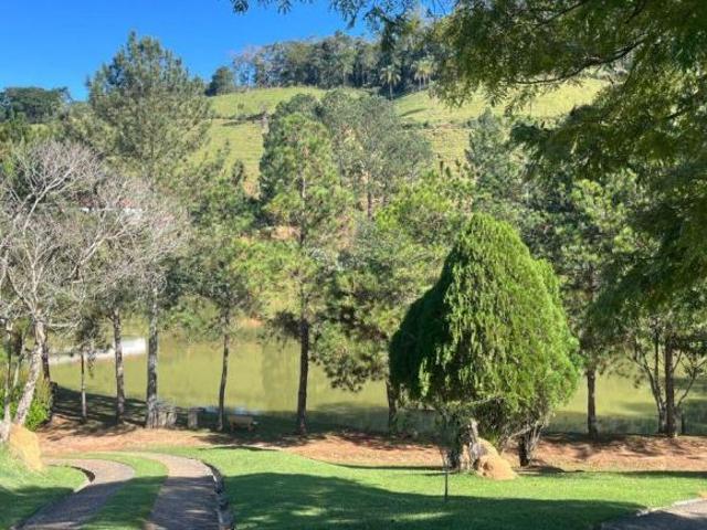 FAZENDA EM MONTE ALEGRE DO SUL 83 HECTARES