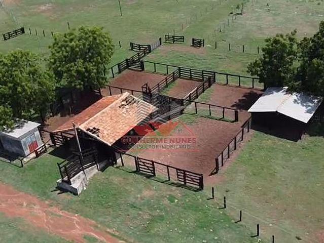 Fazenda em Mozarlândia GO | 90 Alqueires | Pronta para Gado