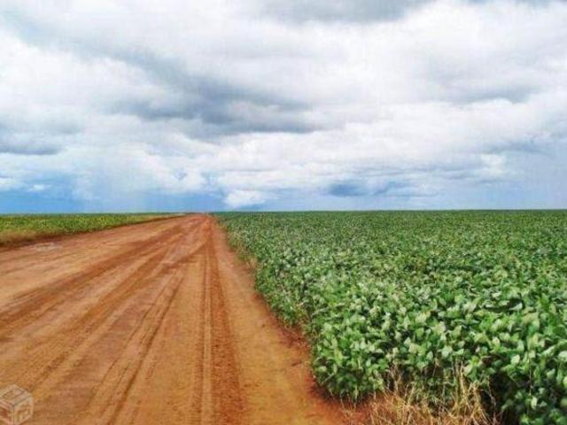 Fazenda em Nova Ubiratan MT 1.000.000.000 de Dólares