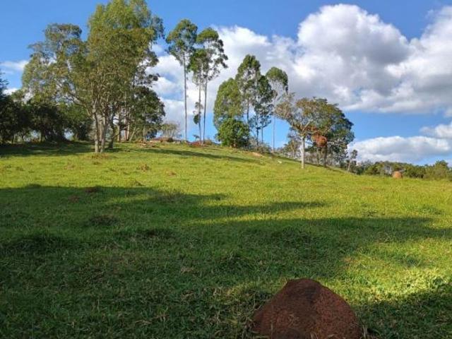 FAZENDA EM OLIVEIRA /MG 34 HECTARES COM MUITA ÁGUA, NASCENTE E FÁCIL ACESSO