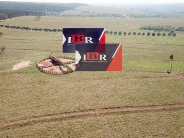 Fazenda em Avaí SP