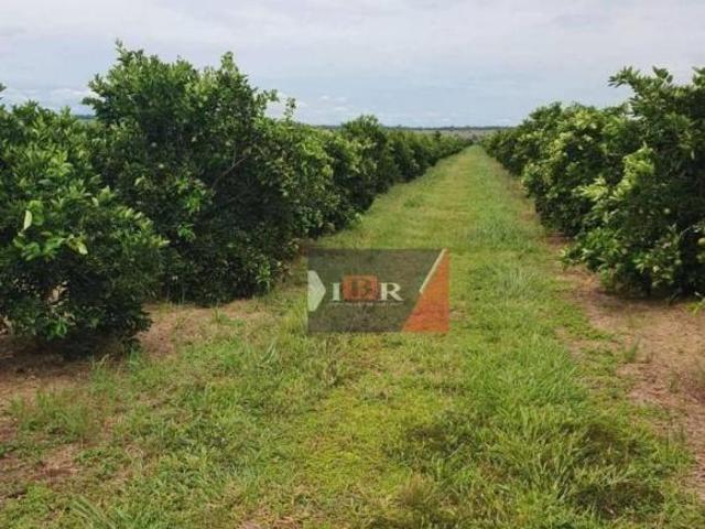 Fazenda em Avaré SP