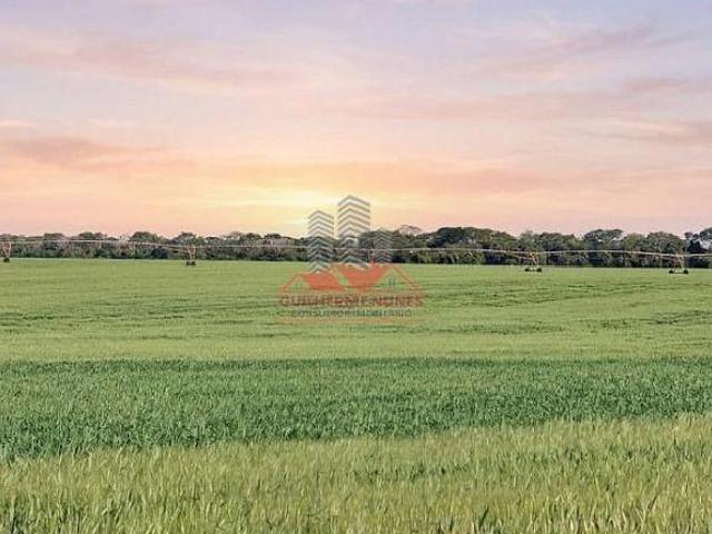 Fazenda em Avaré SP | 856 Alqueires de Alta Produção