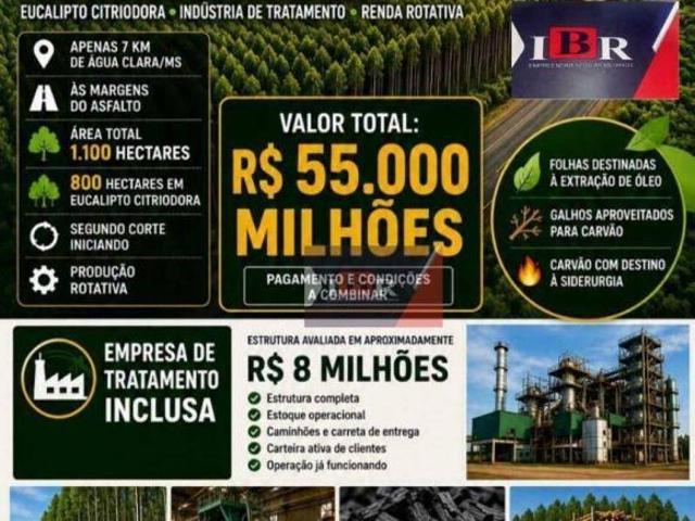 Fazenda em Agua Clara MS