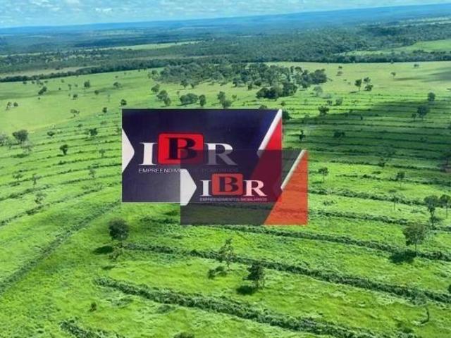 Fazenda em Alcinópolis MS