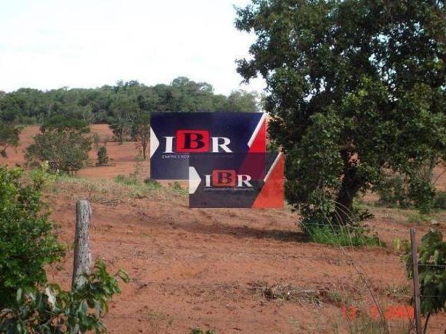 Fazenda em Alto Araguaia MT