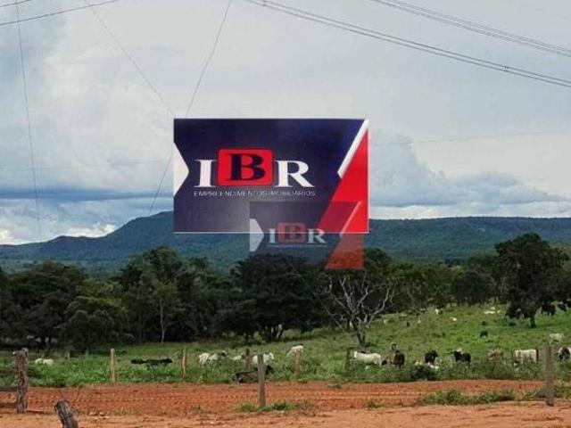 Fazenda em Alto Araguaia MT