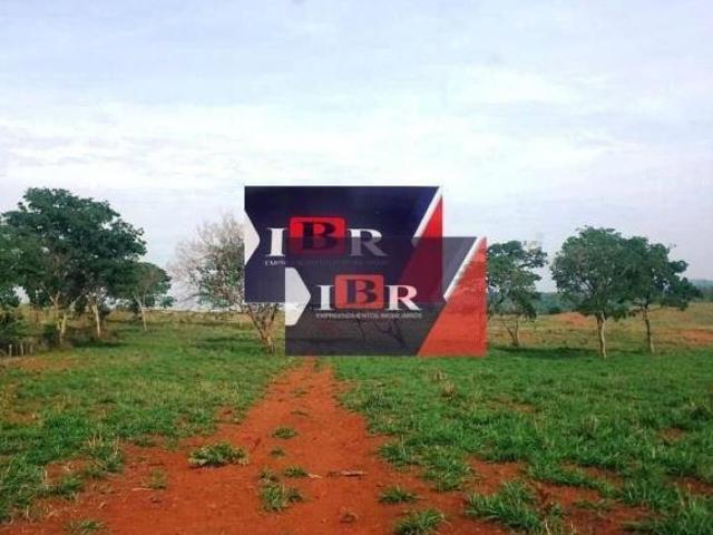 Fazenda em Alto do Araguaia MT