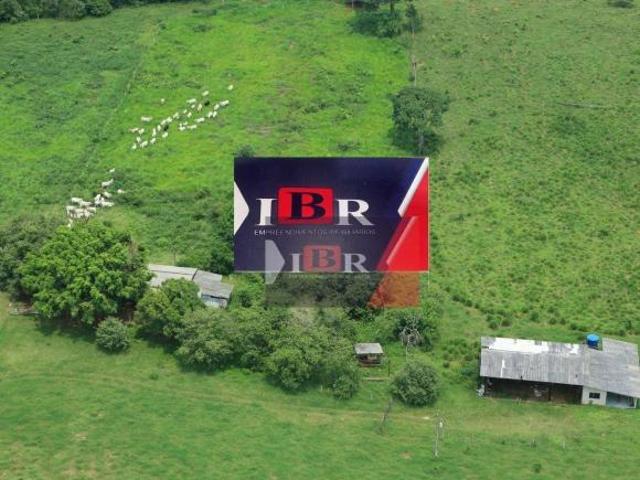 Fazenda em Alto da Floresta MT