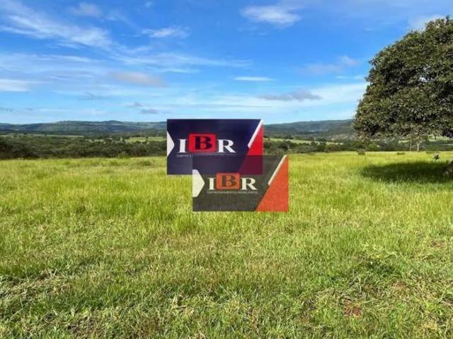 Fazenda em Alto Taquari MS