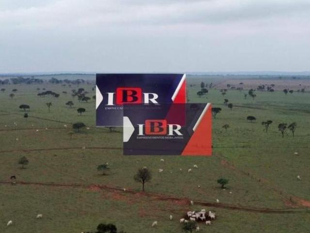 Fazenda em Amambaí Ms
