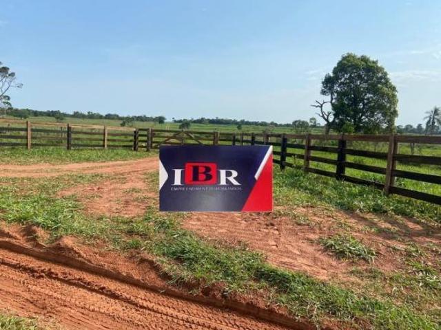 Fazenda em Amambai MS
