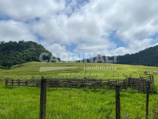Fazenda em Analandia 11KM do Posto Grall Rubi