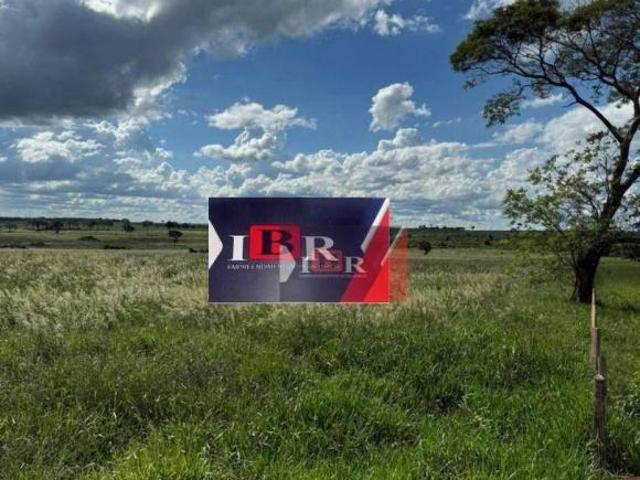 Fazenda em Anaurilandia MS