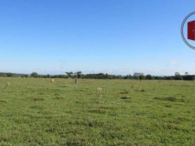 Fazenda em Angatuba com 115 alqueires