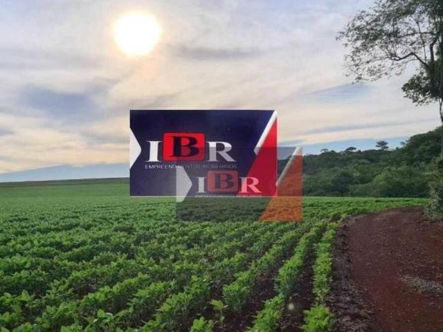 Fazenda em Antônio João MS